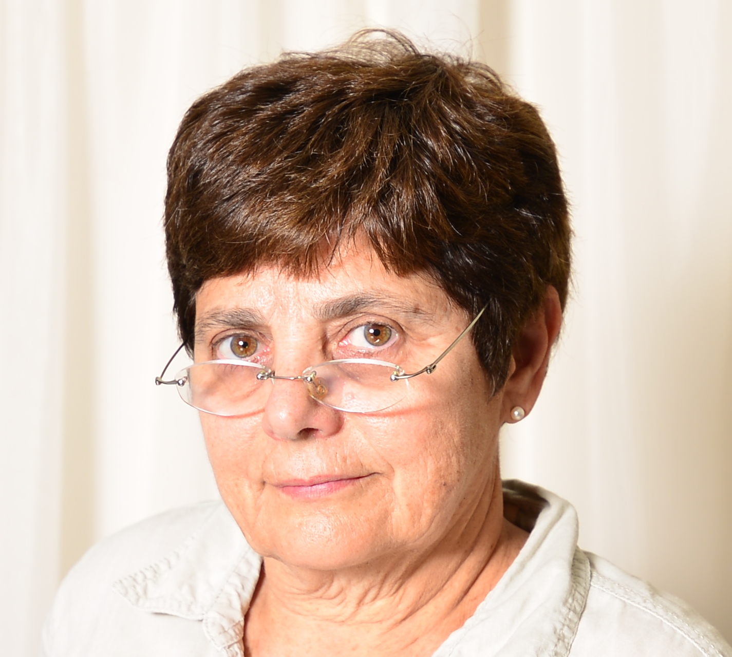 Board Member of the Year: Daneen Roth - ChamberECT