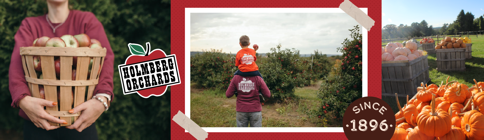 Holmberg Orchards: Growing Five Generations Strong in Gales Ferry